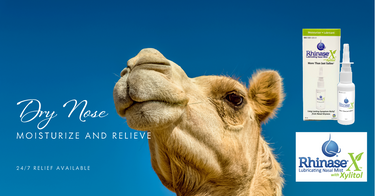 Rhinase | Nasal Rhinase X | Xynase | Nasal Spray and Gel – Rhinase ...