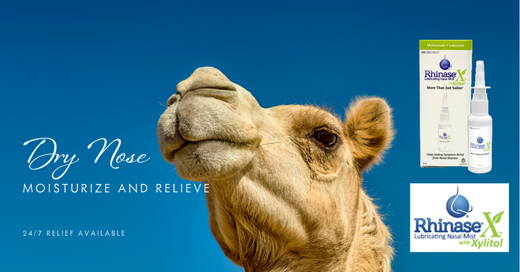 Rhinase | Nasal Rhinase X | Xynase | Nasal Spray and Gel – Rhinase ...